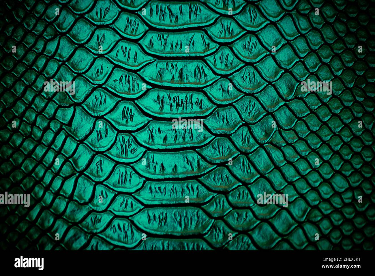 Close up of green Luxury snake skin texture use for background Stock ...