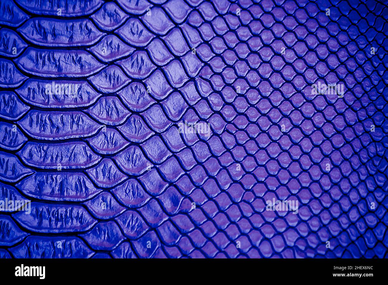 Close up of blue Luxury snake skin texture use for background Stock ...