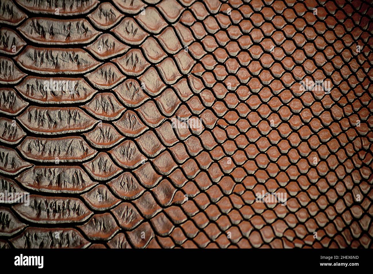 Close up of Luxury snake skin texture use for background Stock Photo ...
