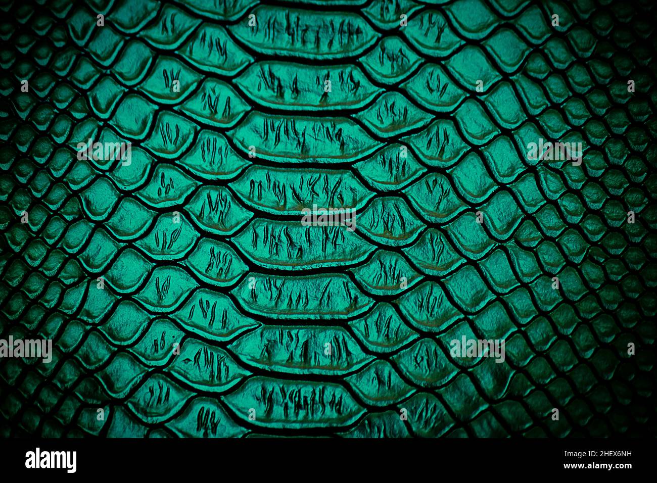 Close up of green Luxury snake skin texture use for background Stock ...