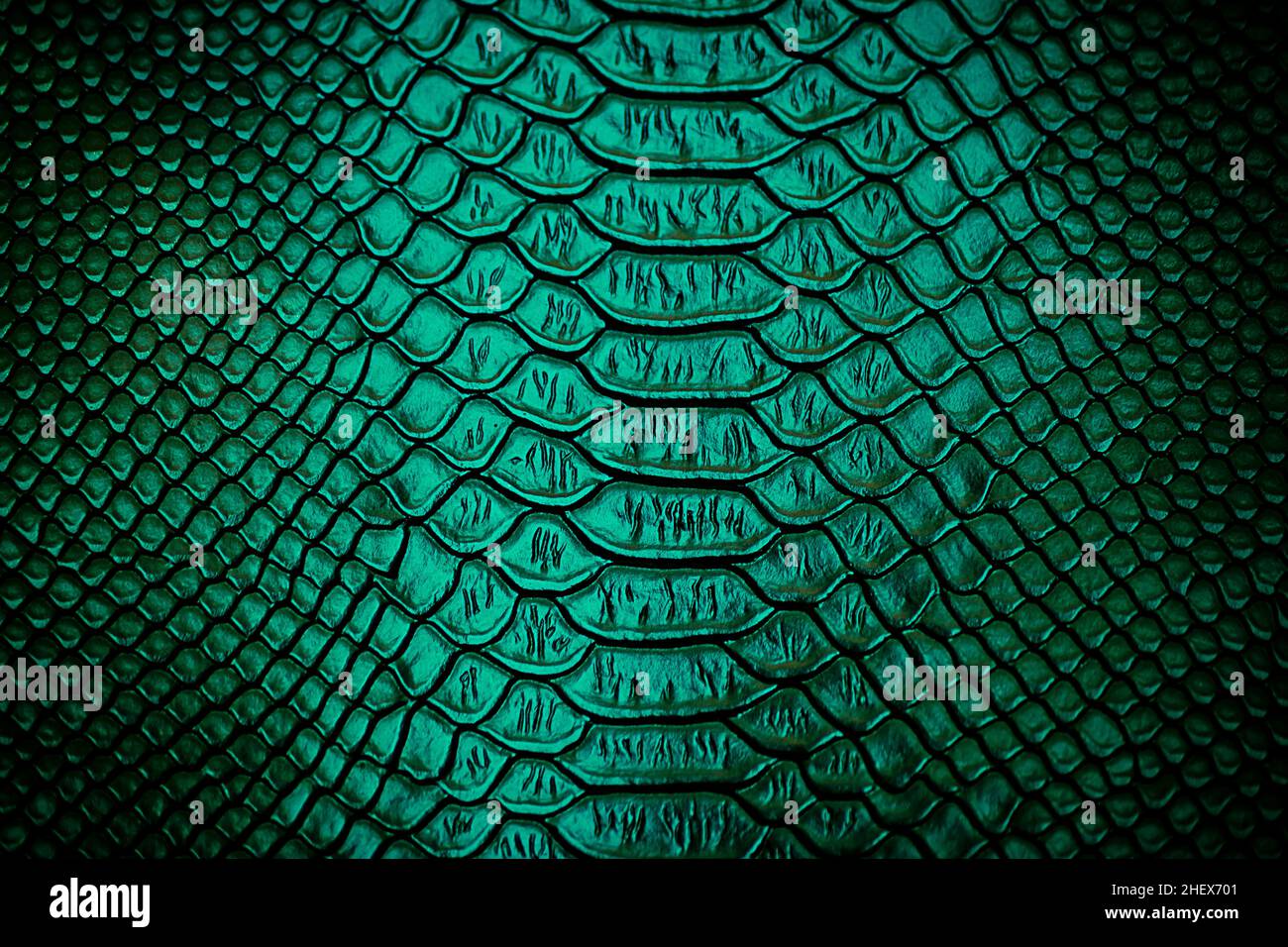 Close up of green Luxury snake skin texture use for background Stock ...