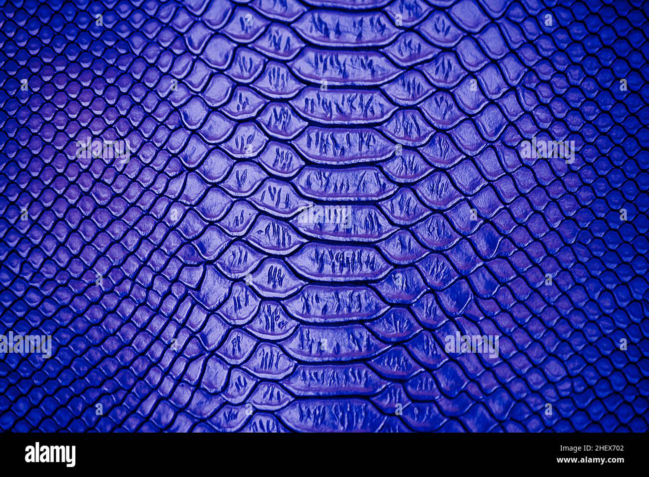 Close up of blue Luxury snake skin texture use for background Stock ...
