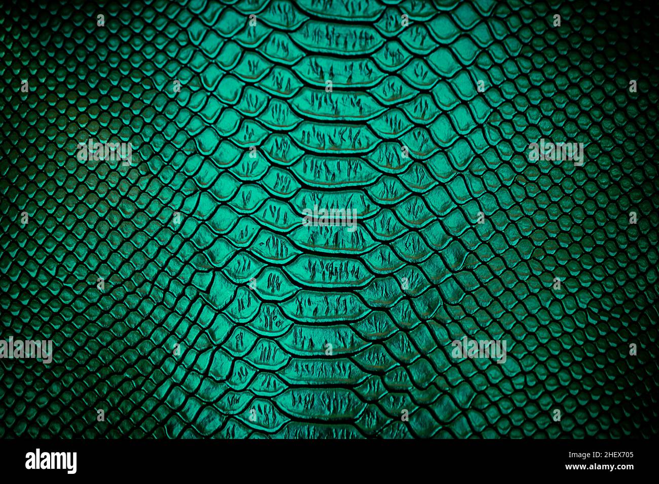 Close up of green Luxury snake skin texture use for background Stock ...