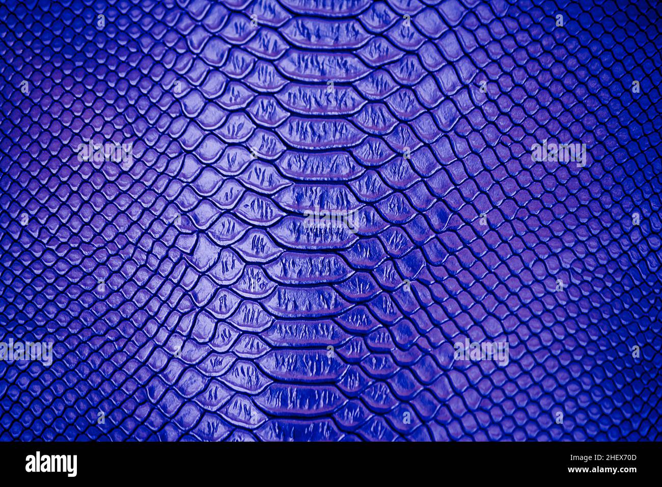 Close up of blue Luxury snake skin texture use for background Stock ...