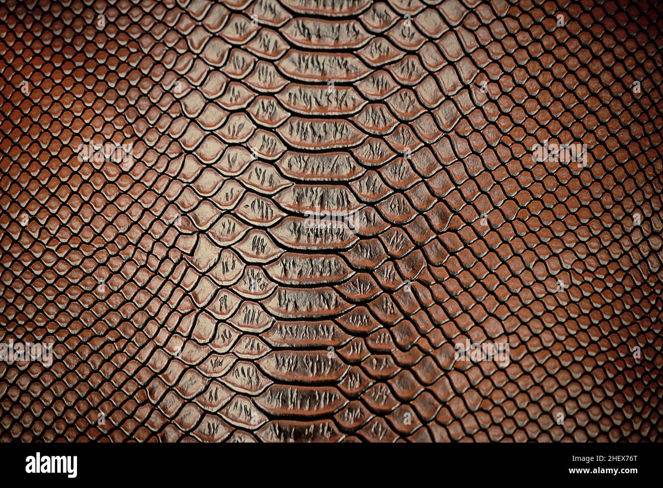 Close up of Luxury snake skin texture use for background Stock Photo ...