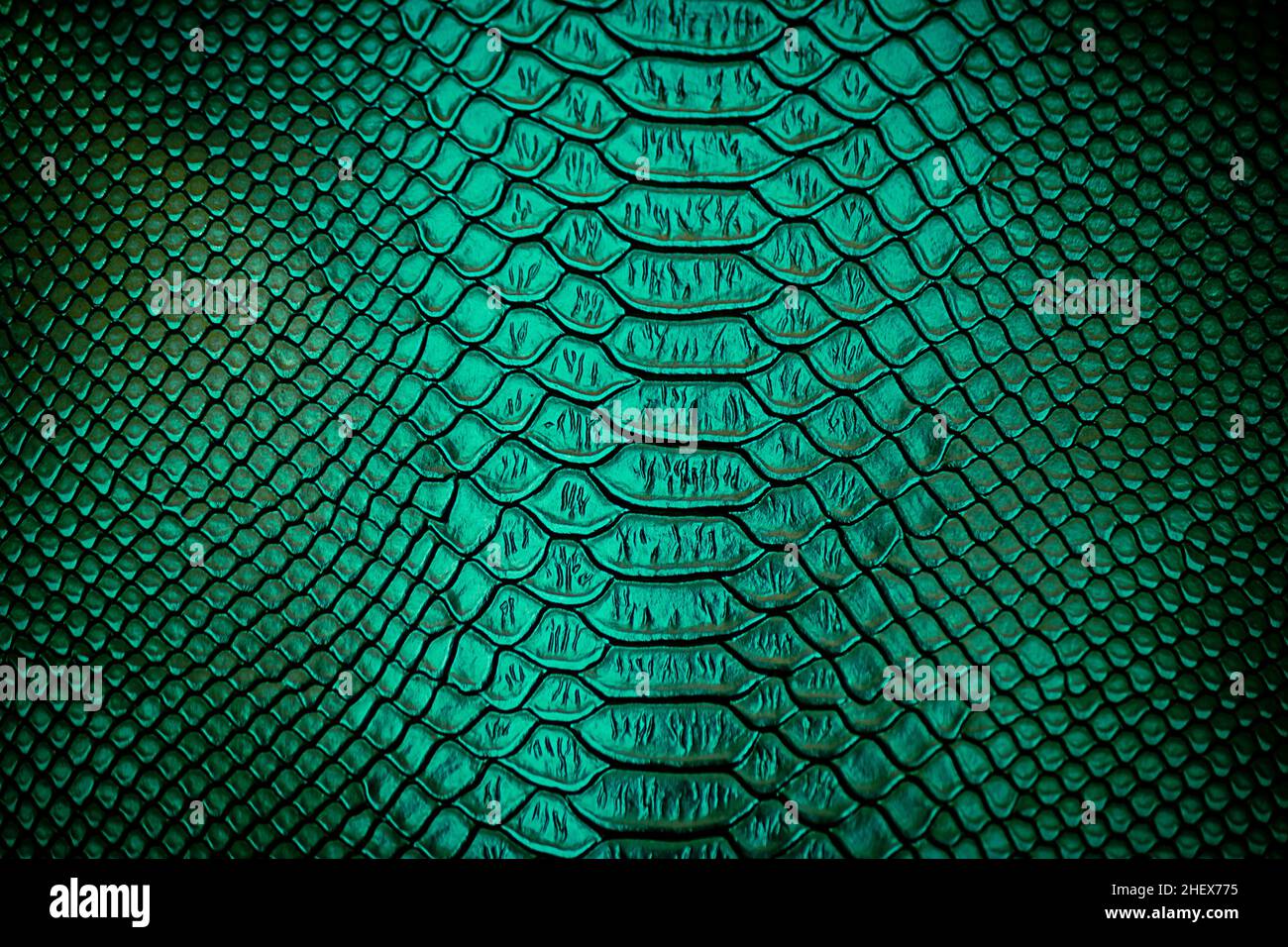 Close up of green Luxury snake skin texture use for background Stock ...