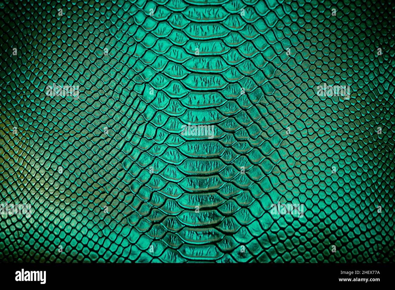 Close up of green Luxury snake skin texture use for background Stock ...