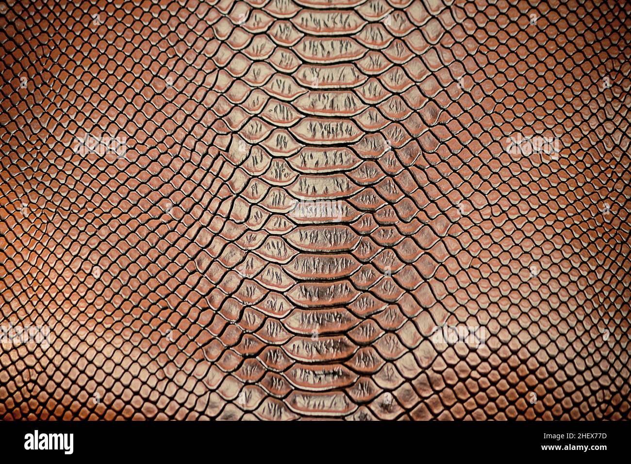 Close up of Luxury snake skin texture use for background Stock Photo ...