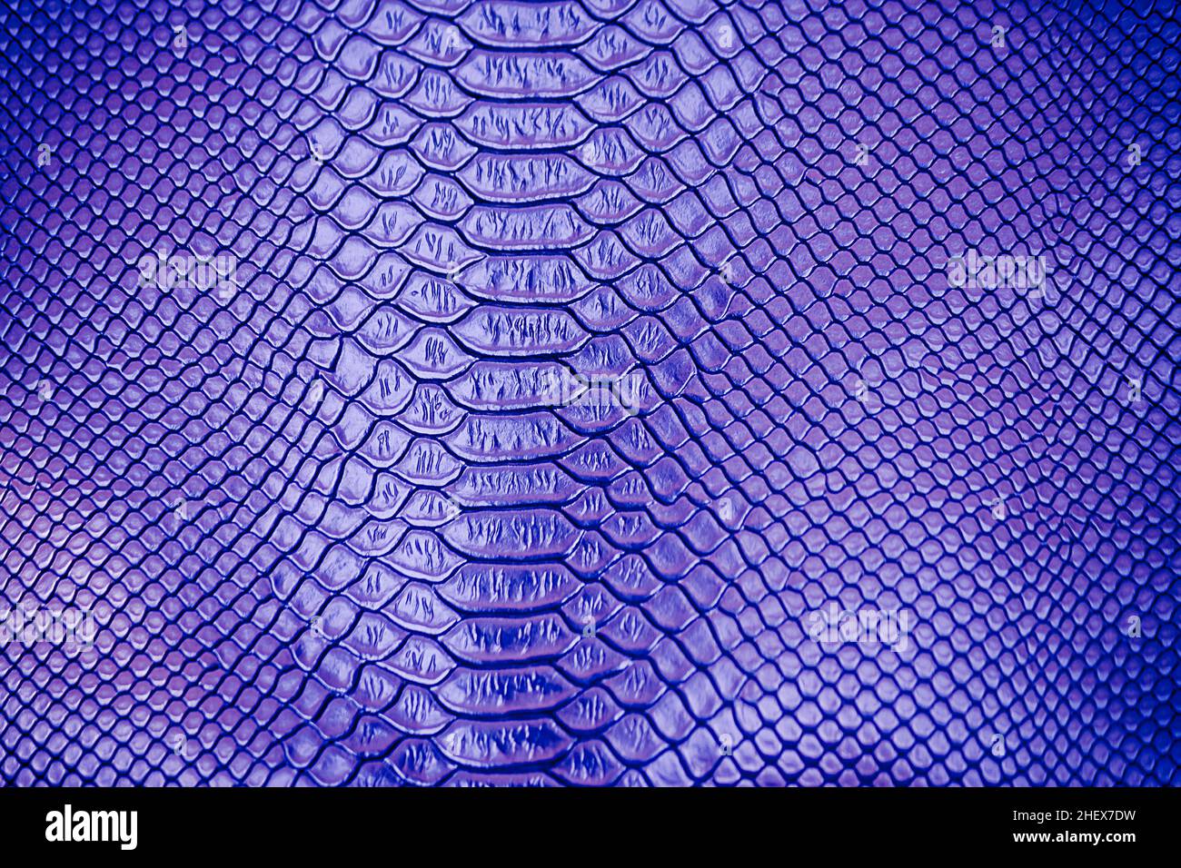 Close up of blue Luxury snake skin texture use for background Stock ...