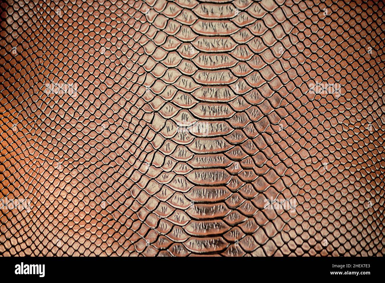 Close up of Luxury snake skin texture use for background Stock Photo ...