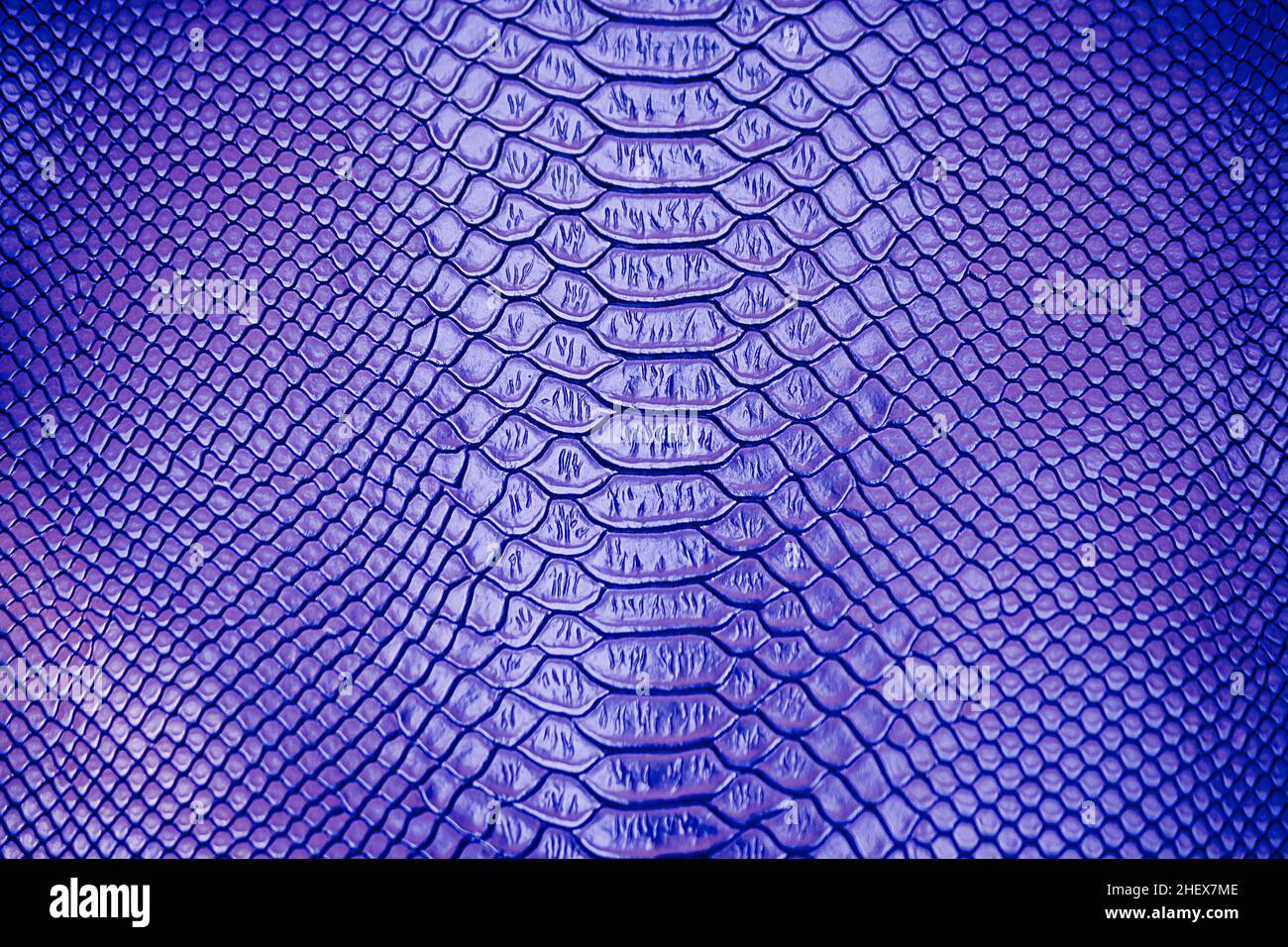 Close up of blue Luxury snake skin texture use for background Stock ...
