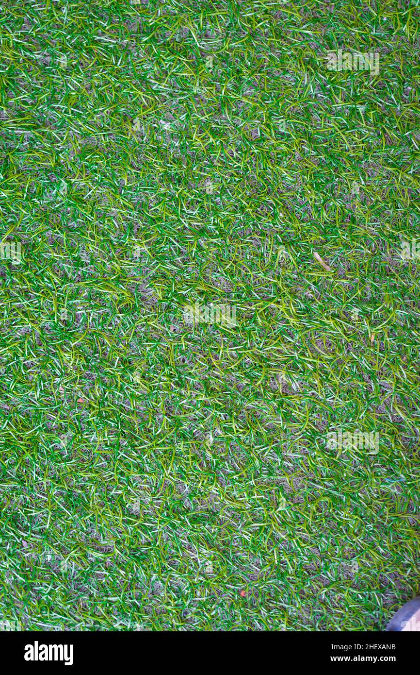 artificial green grass texture background Stock Photo - Alamy