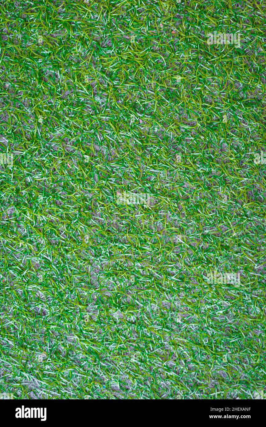 artificial green grass texture background Stock Photo - Alamy