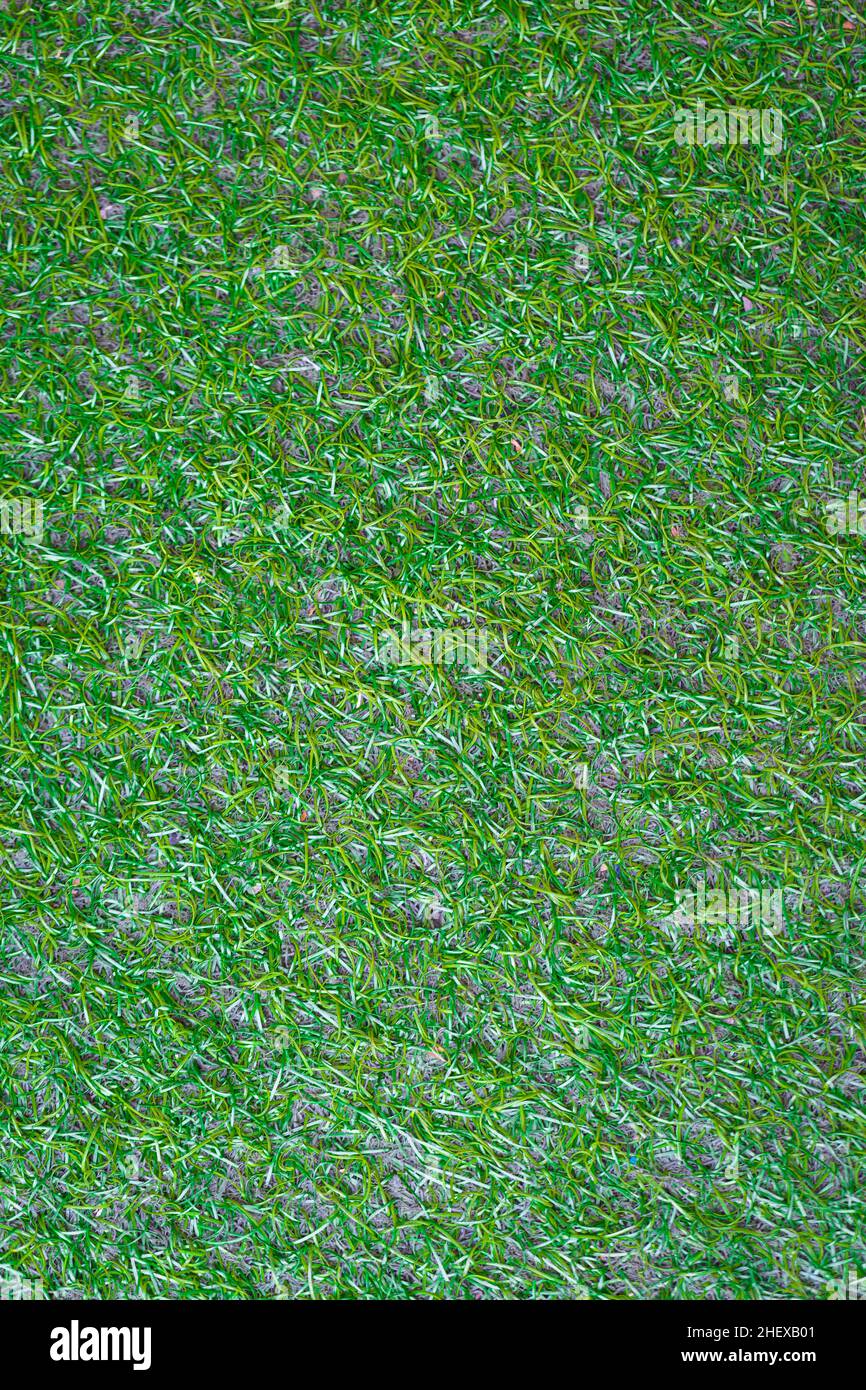 artificial green grass texture background Stock Photo - Alamy