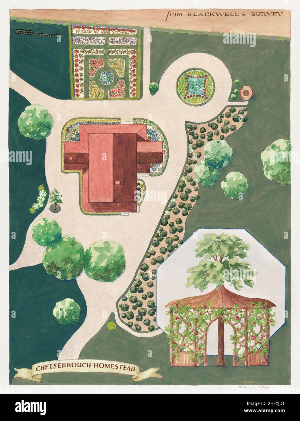 Cheeseborough estate hi-res stock photography and images - Alamy