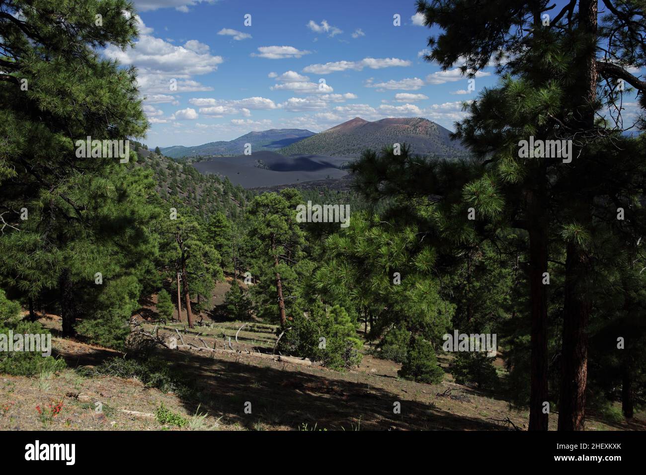View of the Sunset Crater cinder cone volcano and Bonito Lava Flow from ...