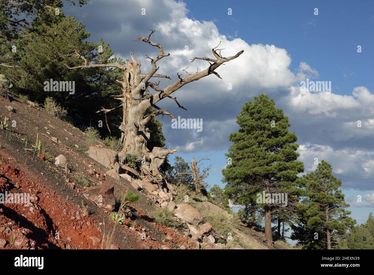 Volcano dome hi-res stock photography and images - Alamy