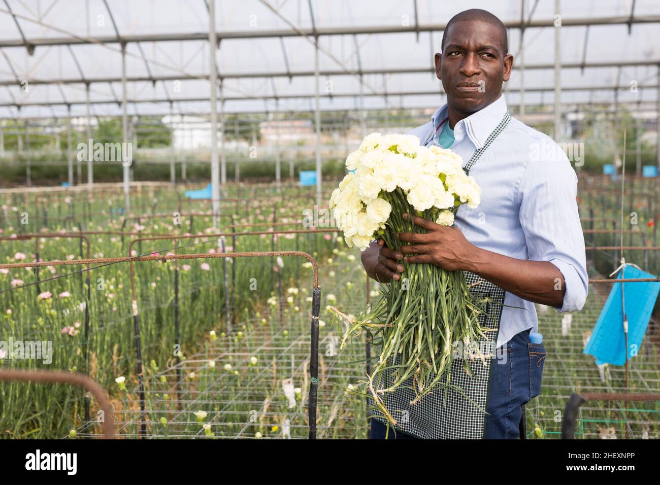 African-american man gardener with bouquet of white carnations in ...