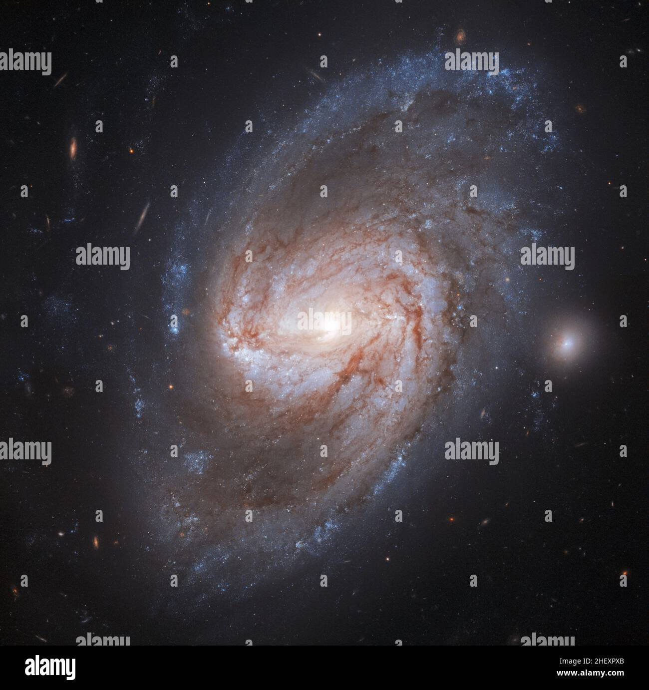 Is a barred spiral galaxy hi-res stock photography and images - Alamy