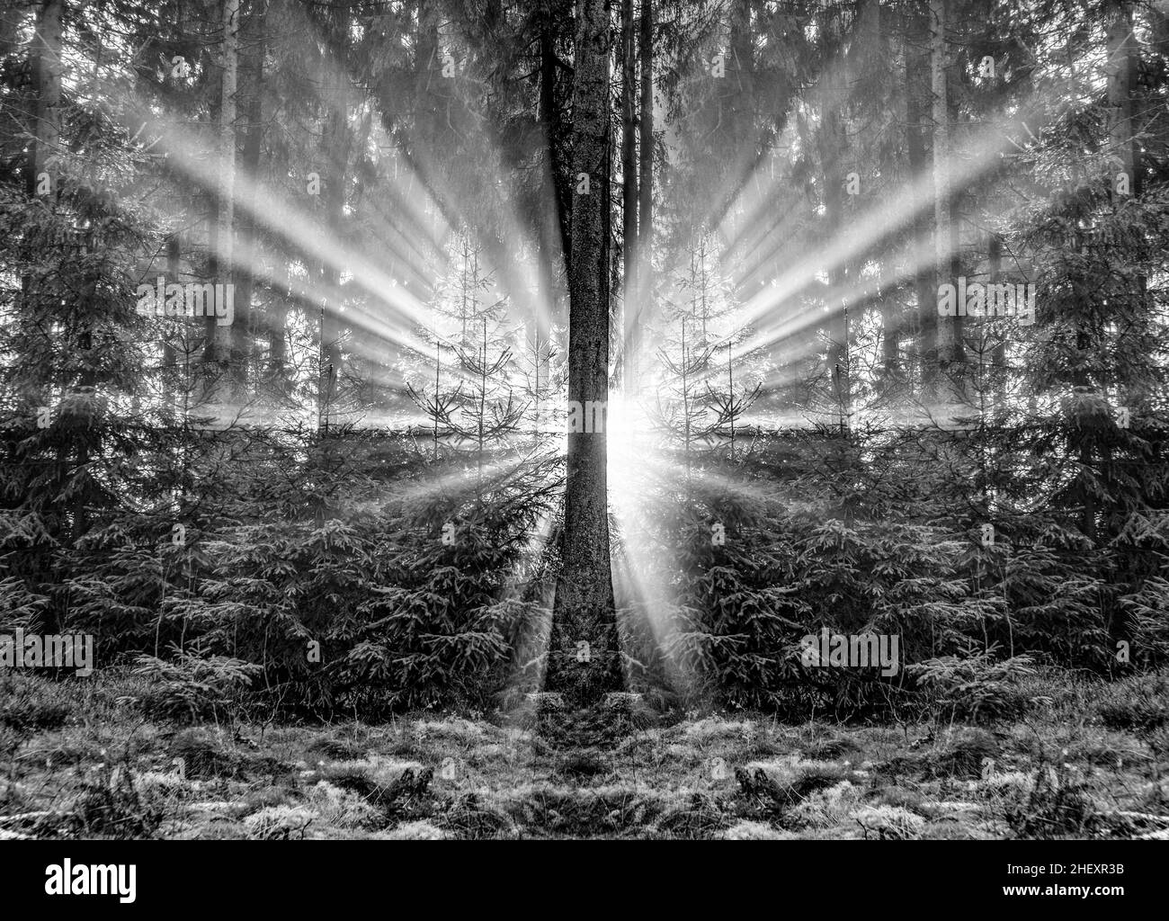 Early Morning Sunrise Black And White