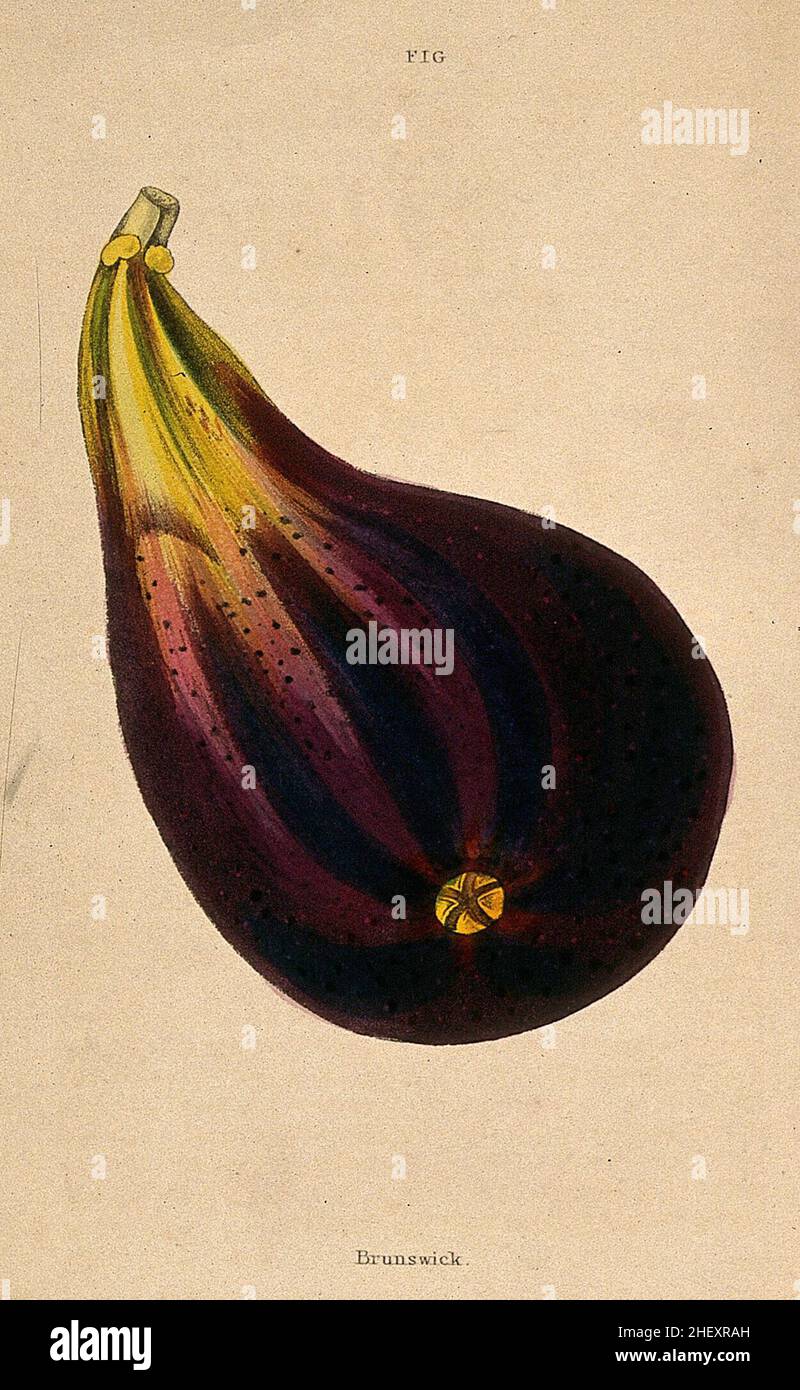 C cv hi-res stock photography and images - Alamy