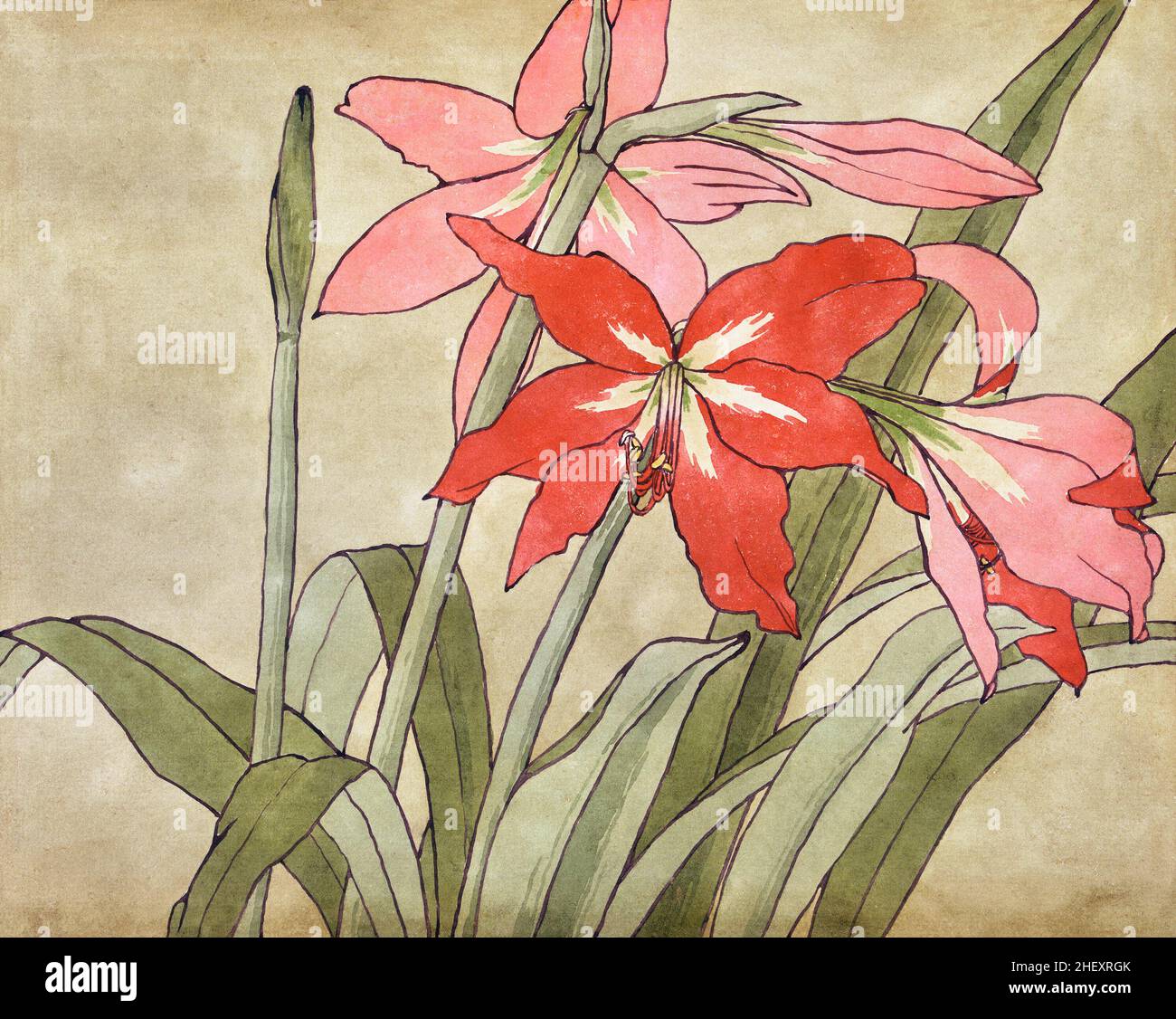 Hannah borger overbeck hi-res stock photography and images - Alamy