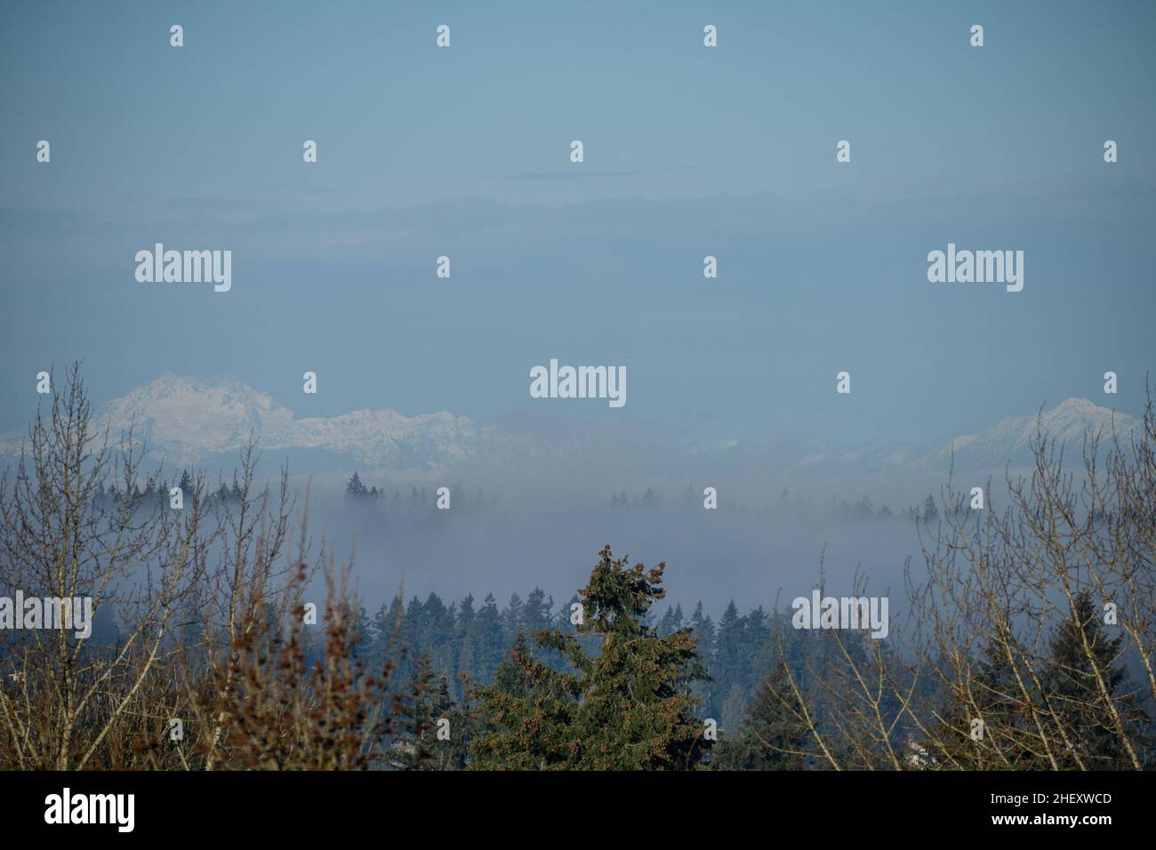 Seattle skyline covered with morning fog on sunny day Stock Photo - Alamy