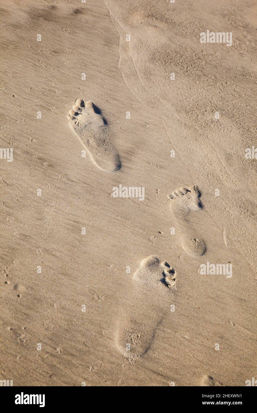 footprints at the beach in fine sand Stock Photo - Alamy