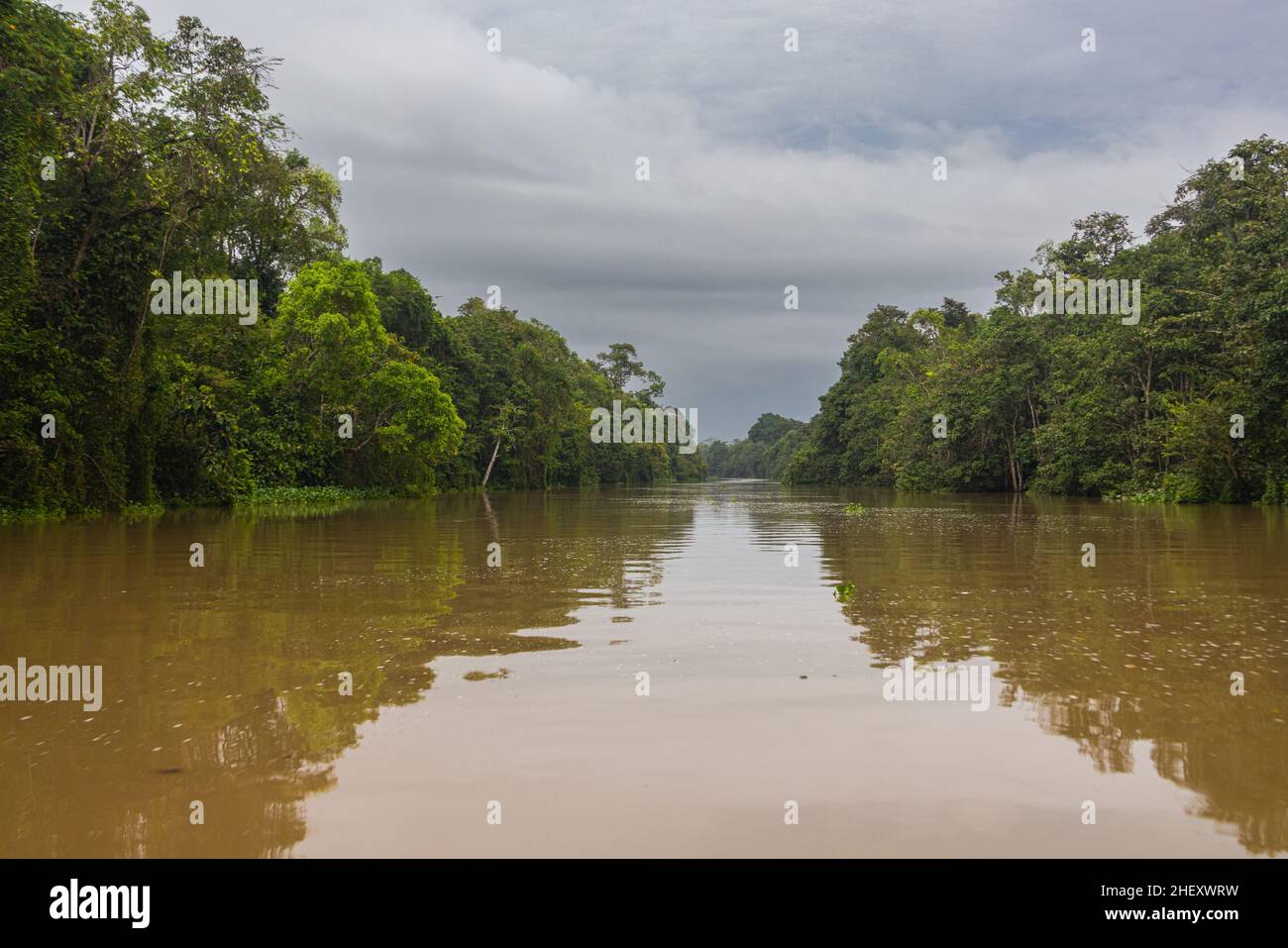Malaysia tropical rainforest jungle hi-res stock photography and images ...