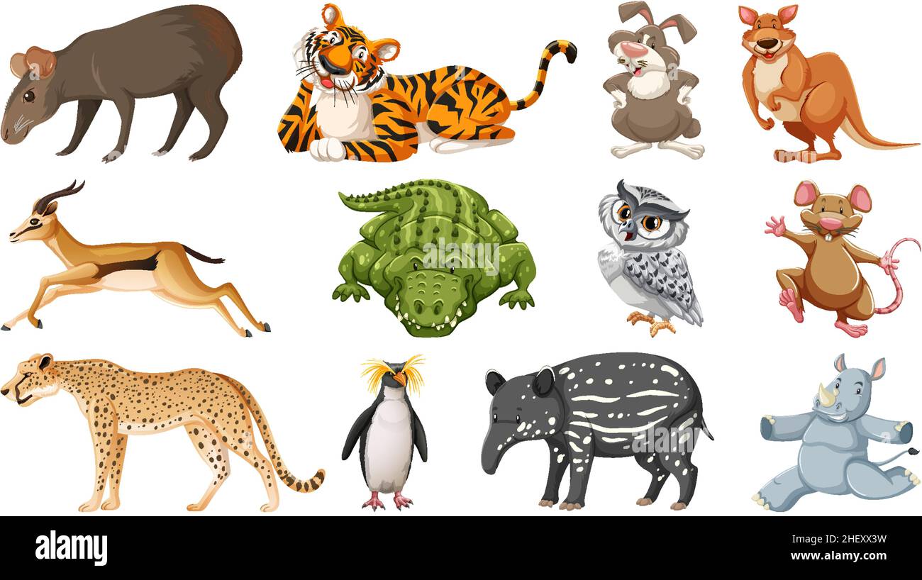 Set of different wild animals cartoon characters illustration Stock ...