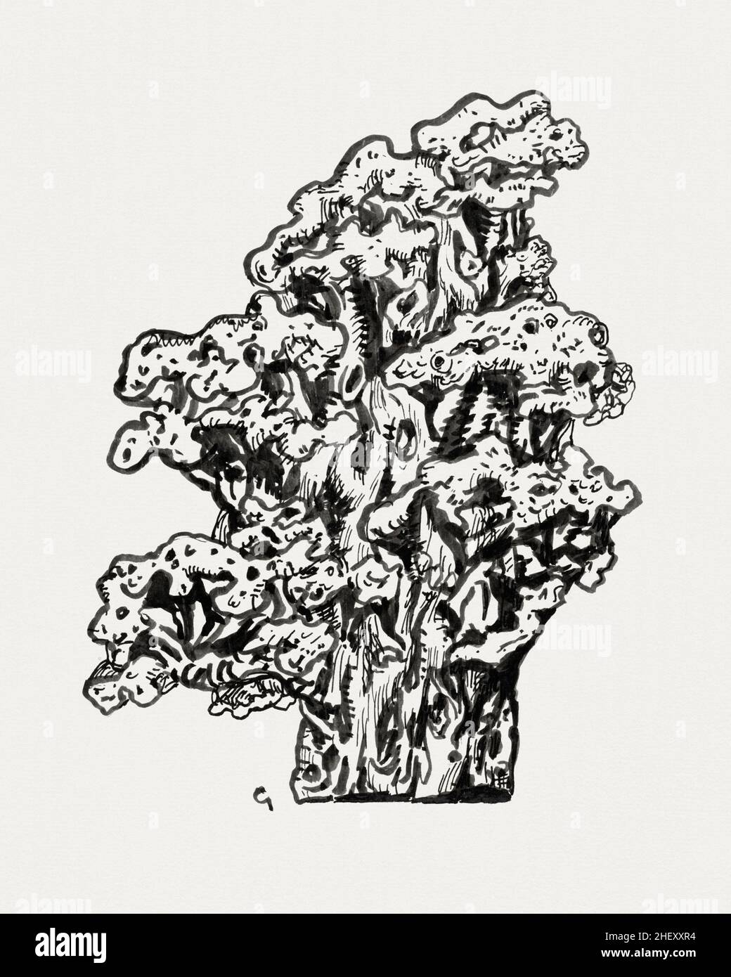 Grayscale Drawing High Resolution Stock Photography and Images - Alamy