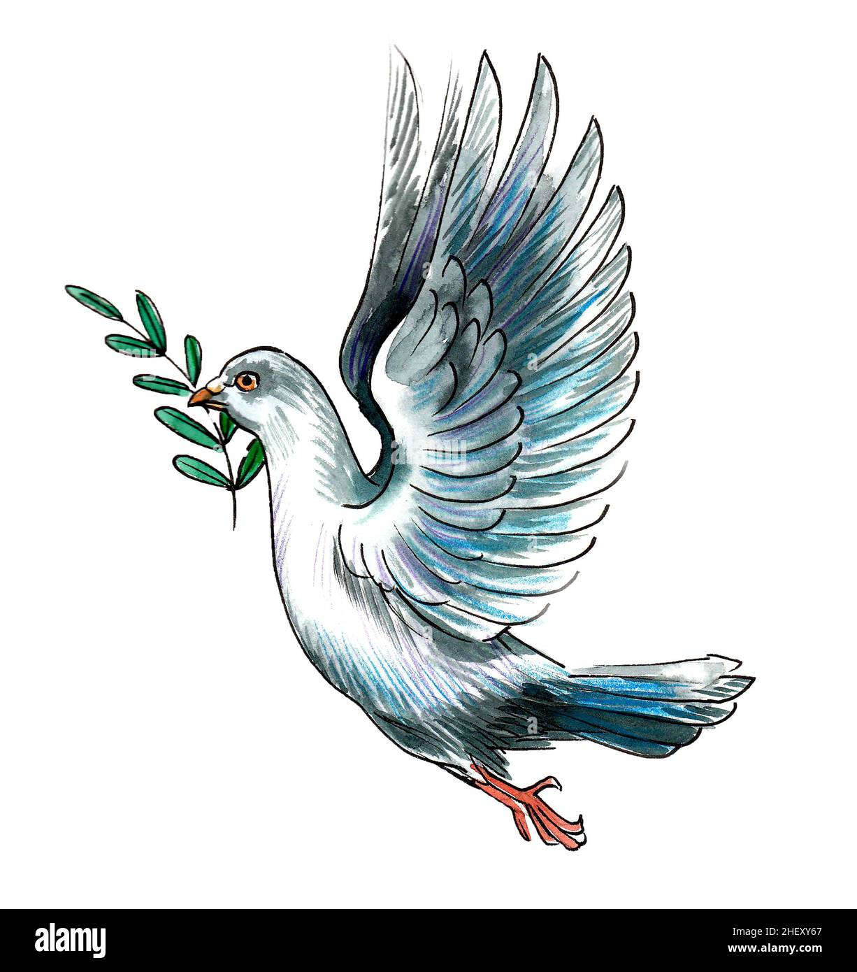 White Dove Flying Drawing
