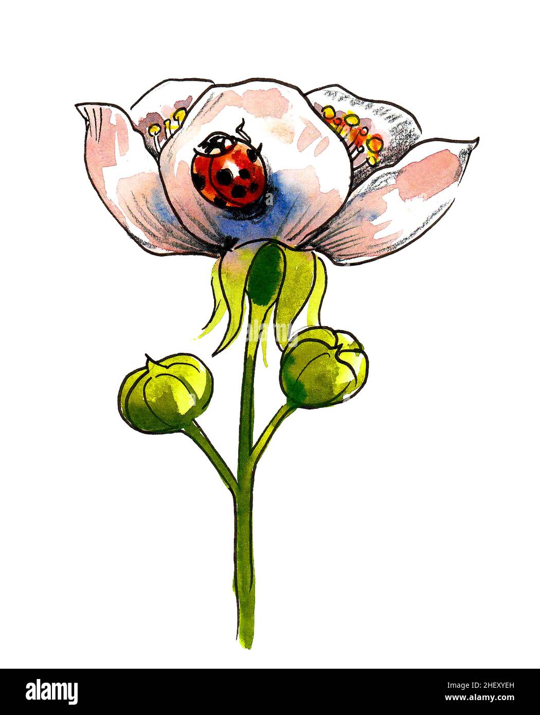 Ladybug clipart hi-res stock photography and images - Alamy