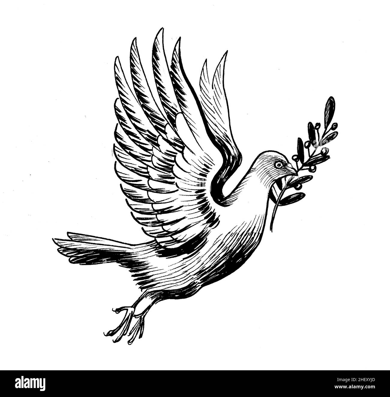 Dove drawing vintage hi-res stock photography and images - Alamy