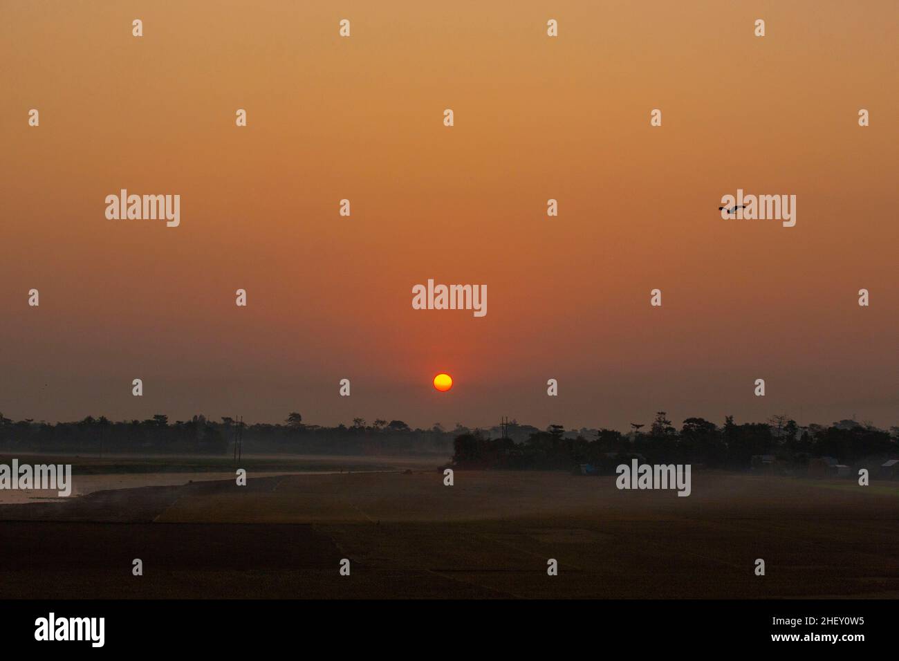 Nature of bangladesh hi-res stock photography and images - Alamy