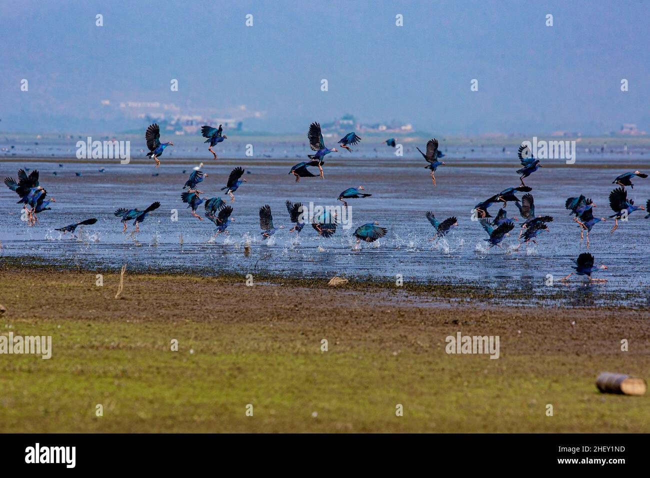 Haor hi-res stock photography and images - Alamy