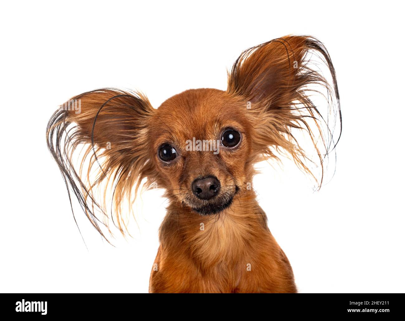 Russkiy hi-res stock photography and images - Alamy