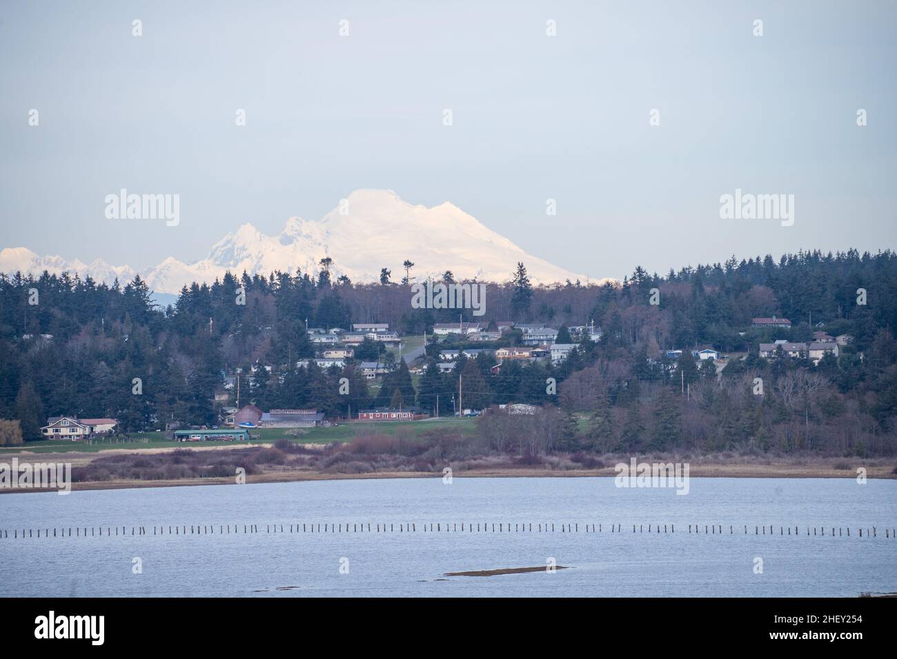 Mount Baker is a 10,781 ft (3,286 m) active glacier-covered andesitic ...