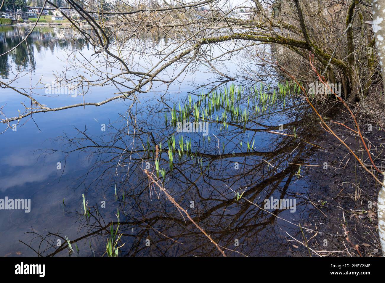 Lake Boren Park is a popular community park that is situated near the ...
