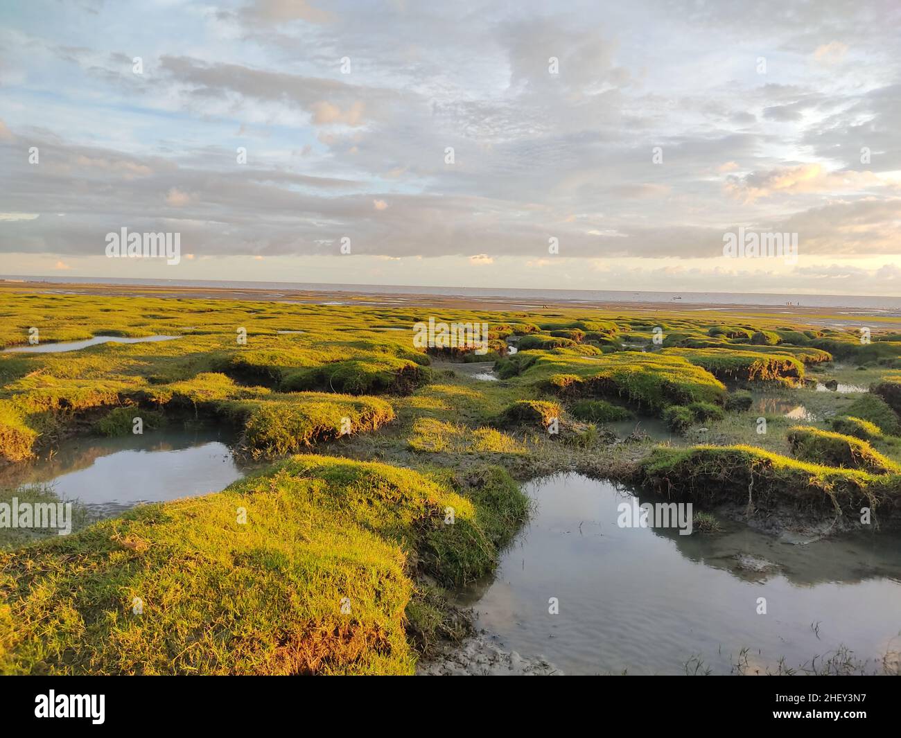 Sea beach bg hi-res stock photography and images - Alamy