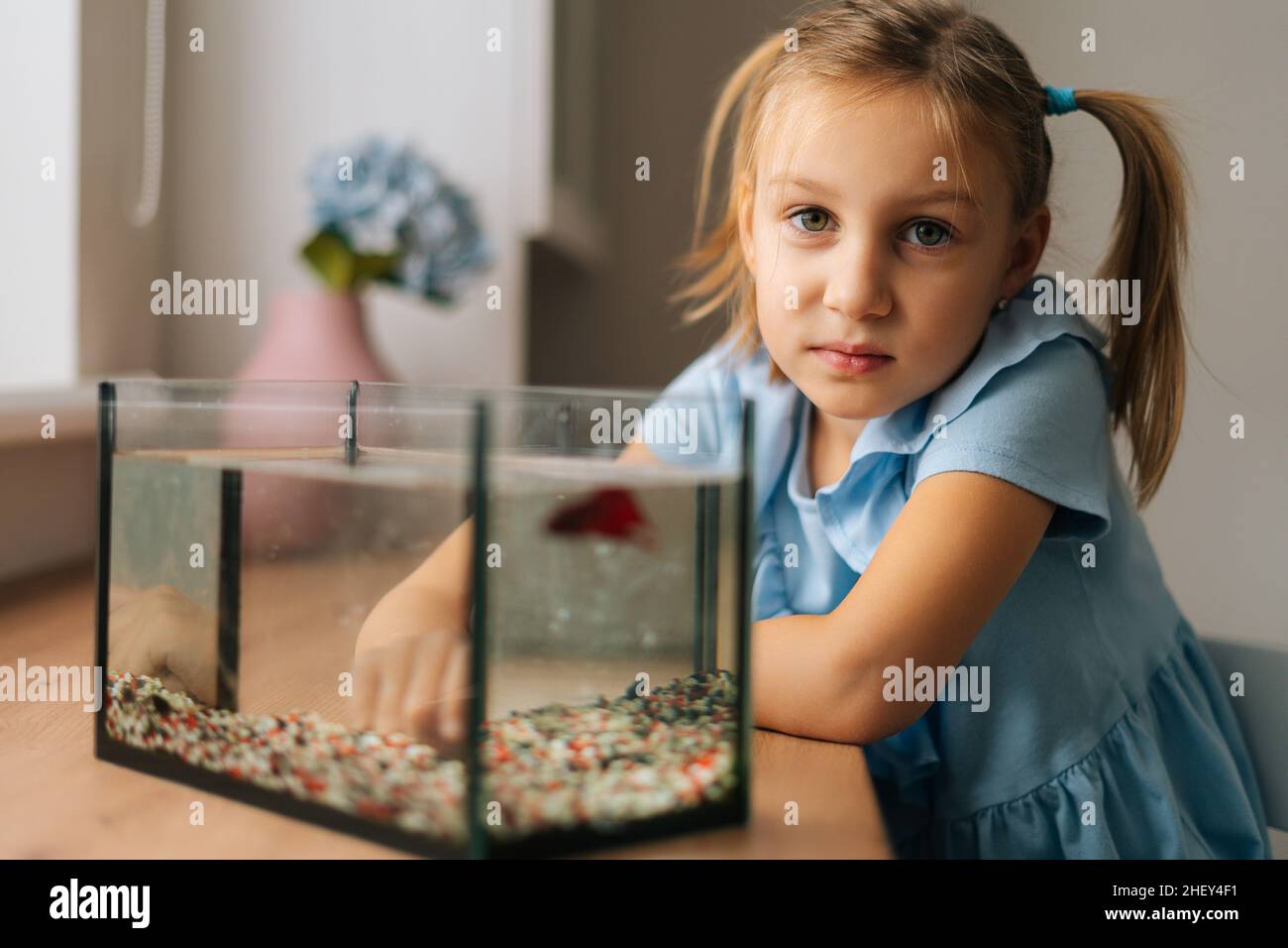Child with fish bowl hi-res stock photography and images - Alamy