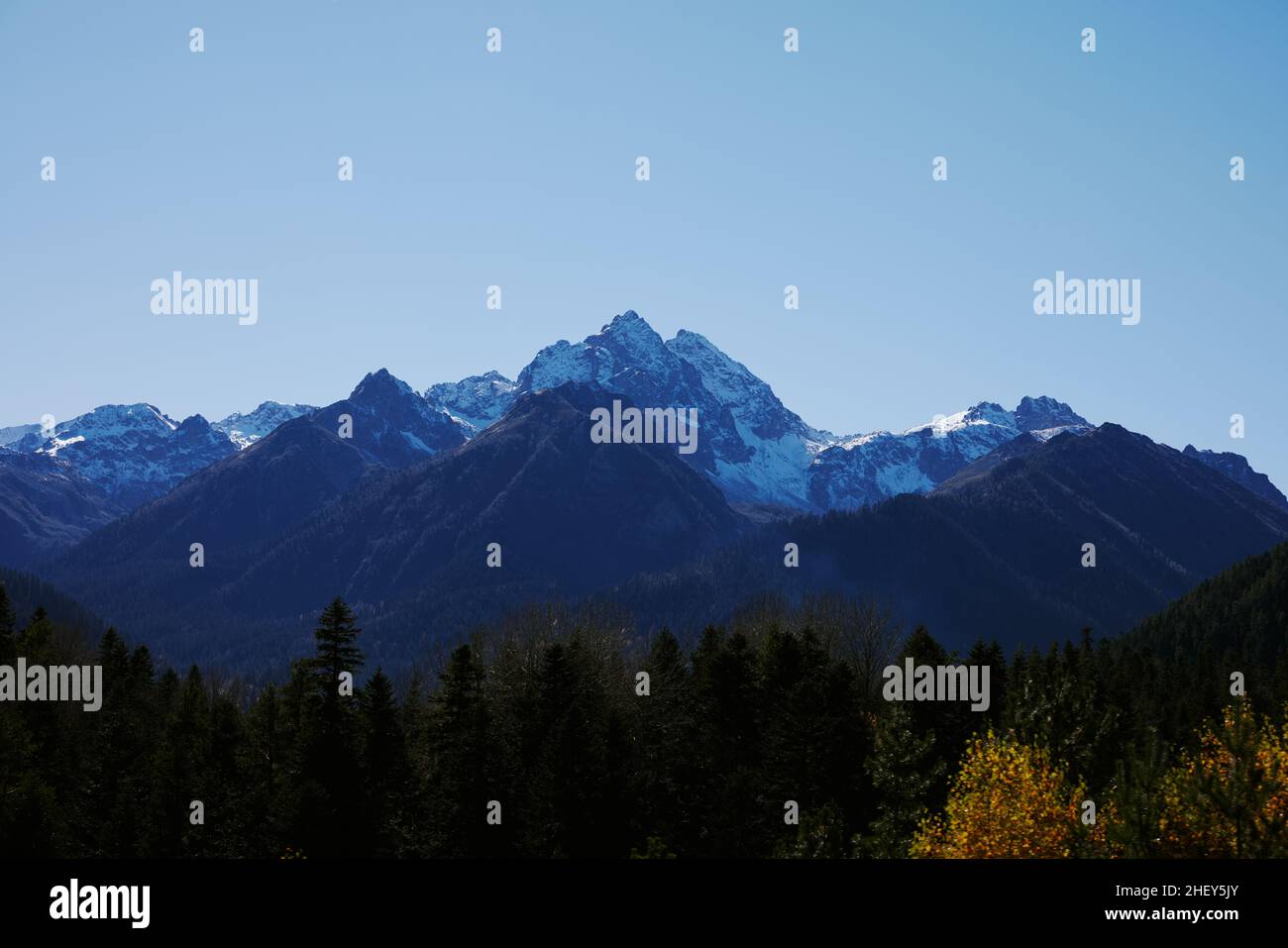 trees panorama open air summer vacation park peak Stock Photo - Alamy