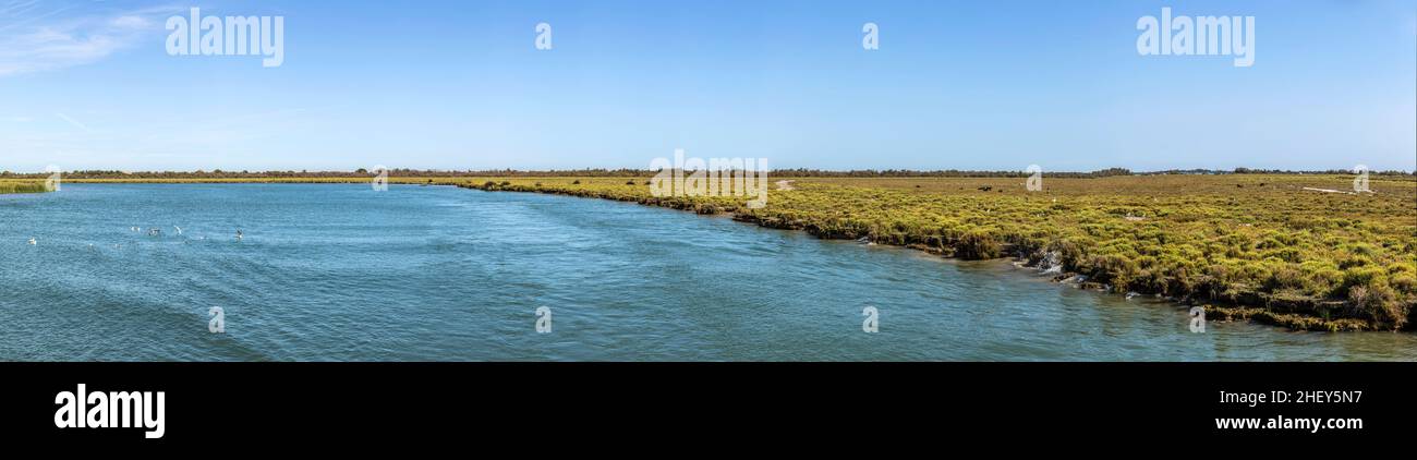 the river rhone delta in the camargue. Wild animals live in that area ...