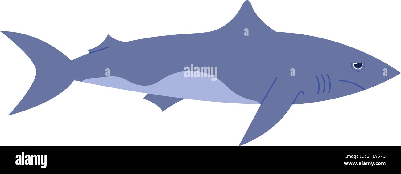 Dangerous sea life Cut Out Stock Images & Pictures - Alamy