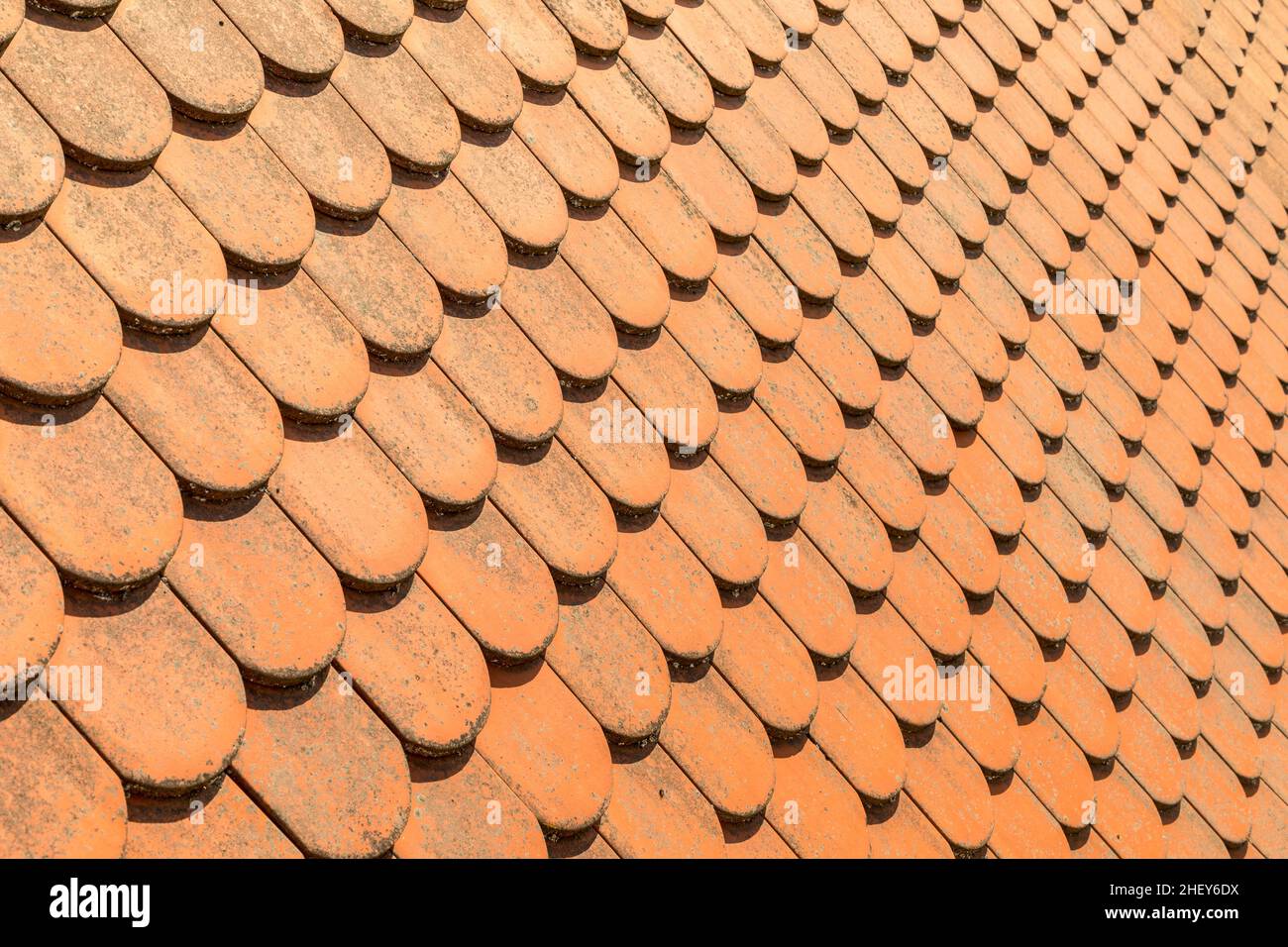Plain tiles hi-res stock photography and images - Alamy