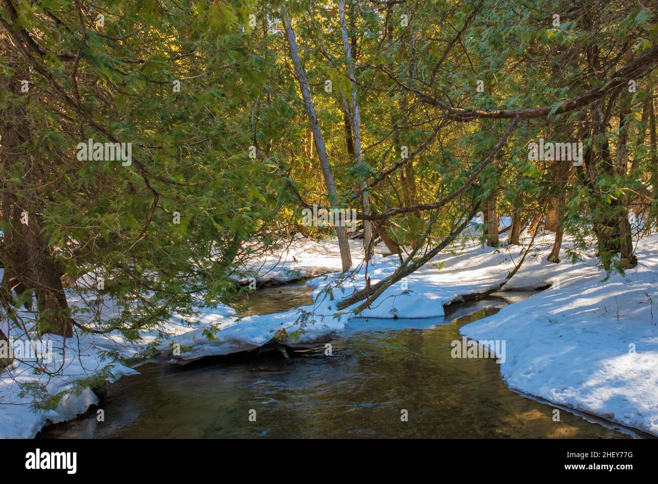 Orono Crown Land Conservation Area Ontario Canada in winter Stock Photo ...