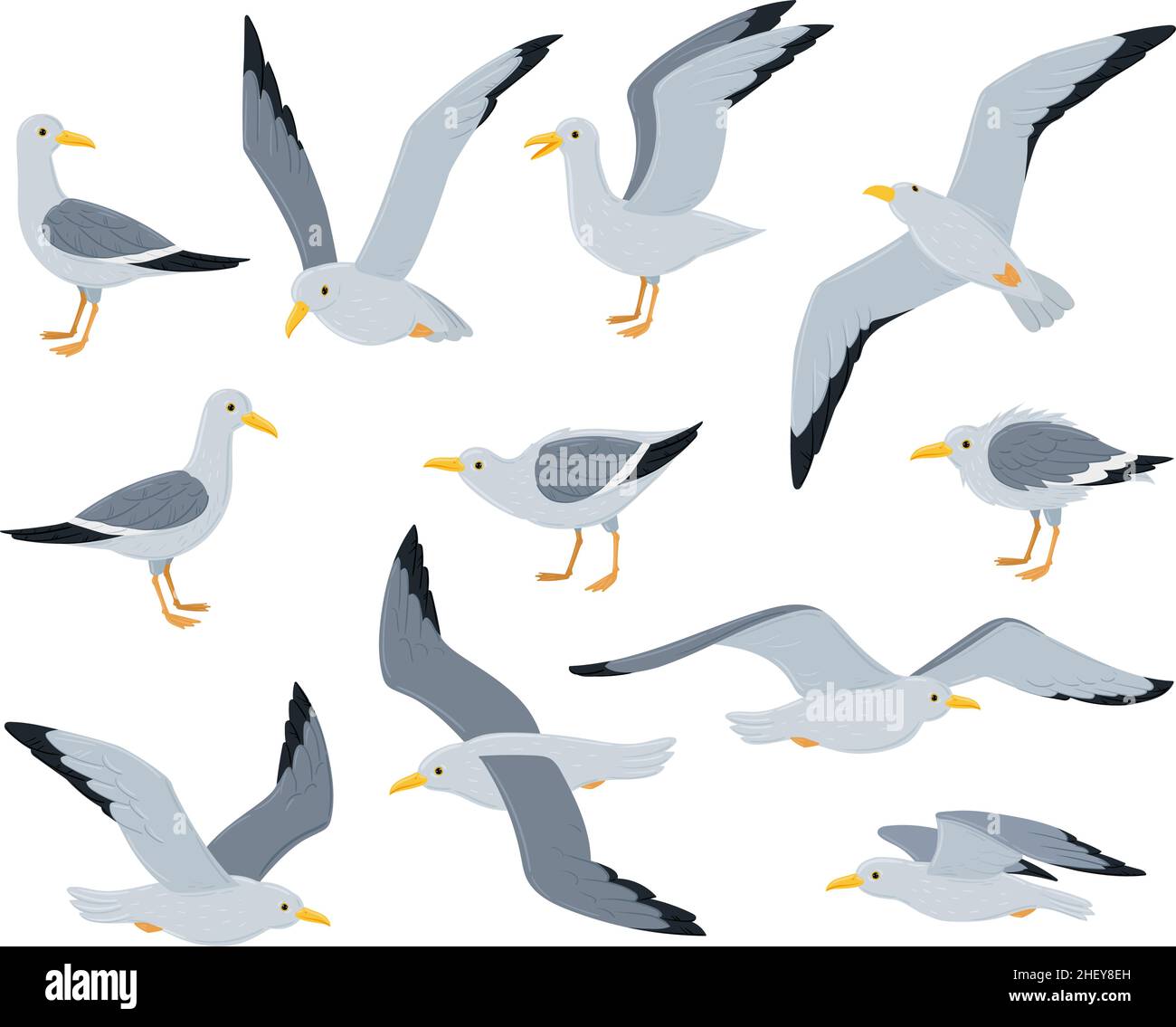 Cartoon seagull birds, sitting, flying and walking gulls birds. Marine ...