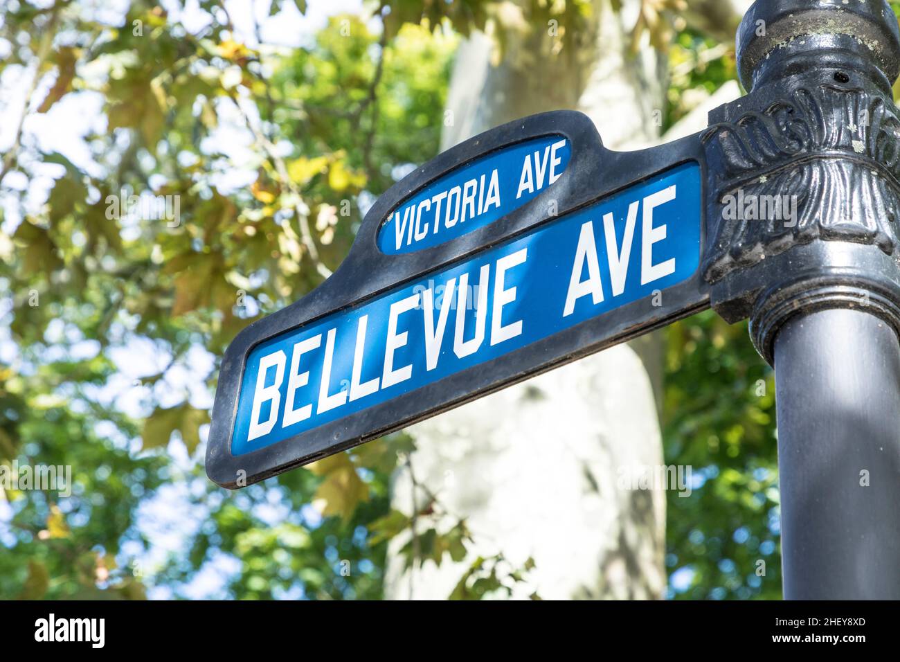 street sign Bellevue avenue, the famous avenue with the historic ...