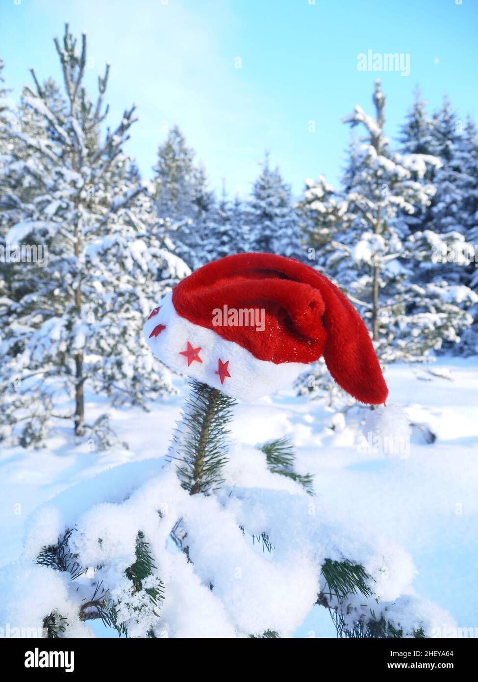 santa hat in the snow Stock Photo - Alamy