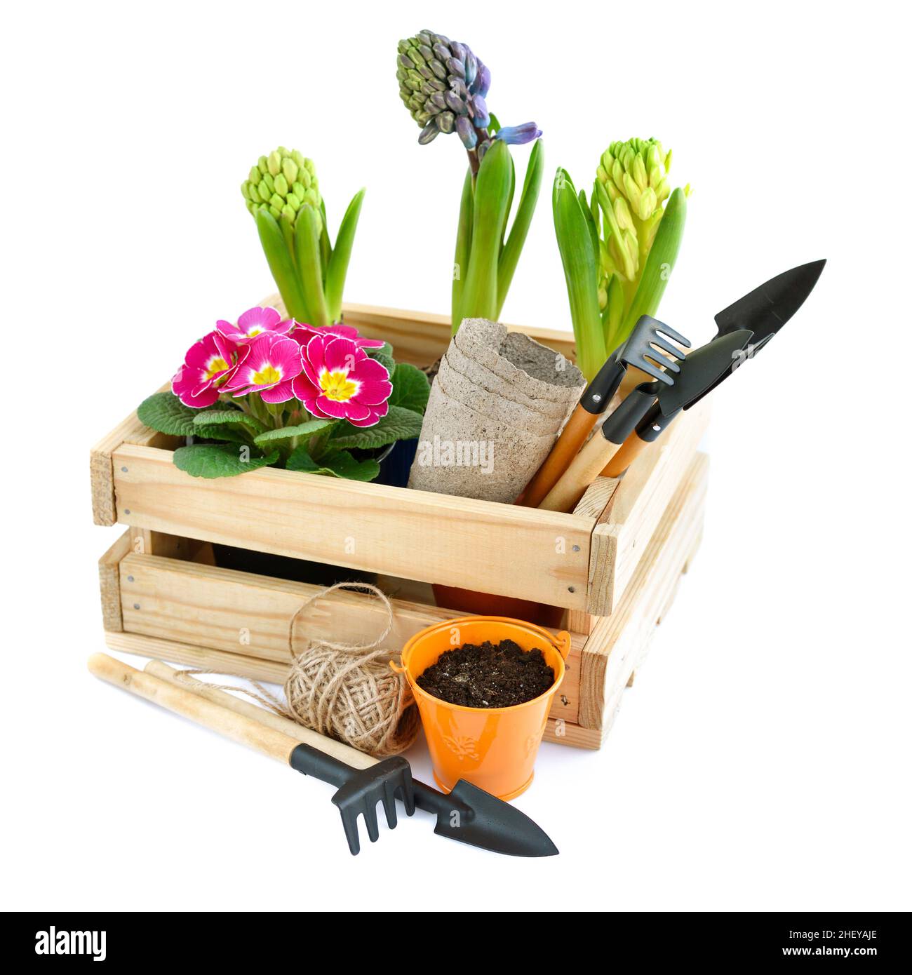Spring flowers in wooden box and garden tools on white background ...
